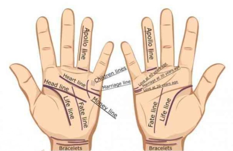 How to Read Your Life Line in Palmistry: A Simple Guide to Your ...